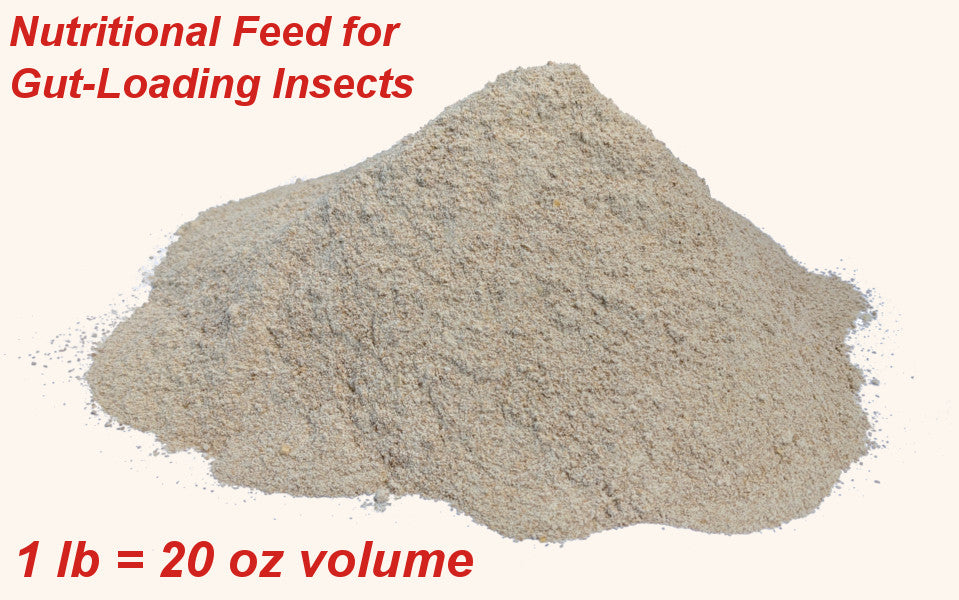 What To Feed Your Crickets For Gut-Loading Benefits – The Critter Depot