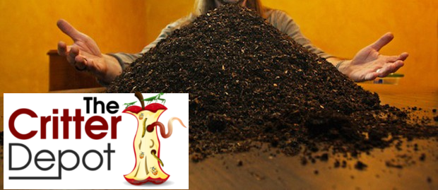 How To Take Care Of A Worm Colony – The Critter Depot